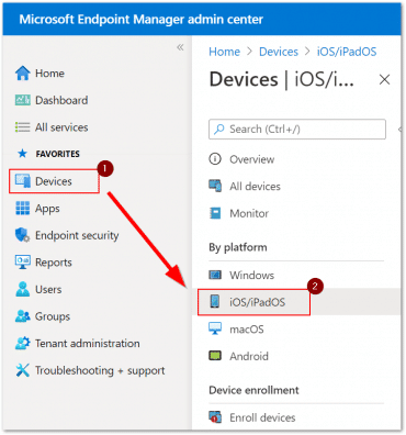 Enable Microsoft Enterprise SSO plug-in for Apple Devices through Intune